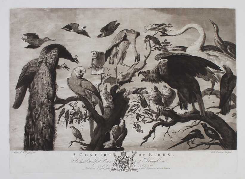 A Concert Of Birds Sanders Of Oxford